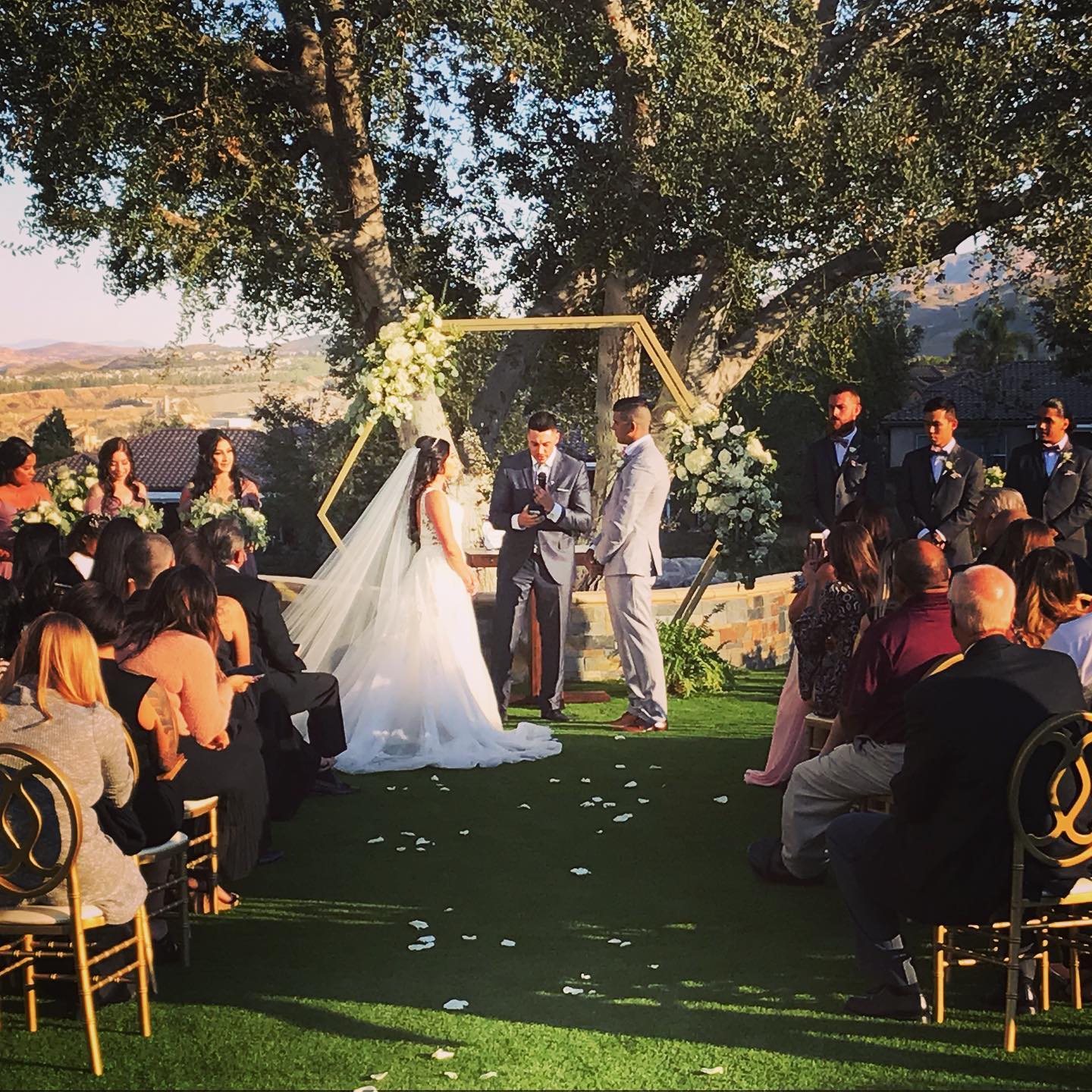 Temecula Harpist Annette Wiles | Harpist from the Heart